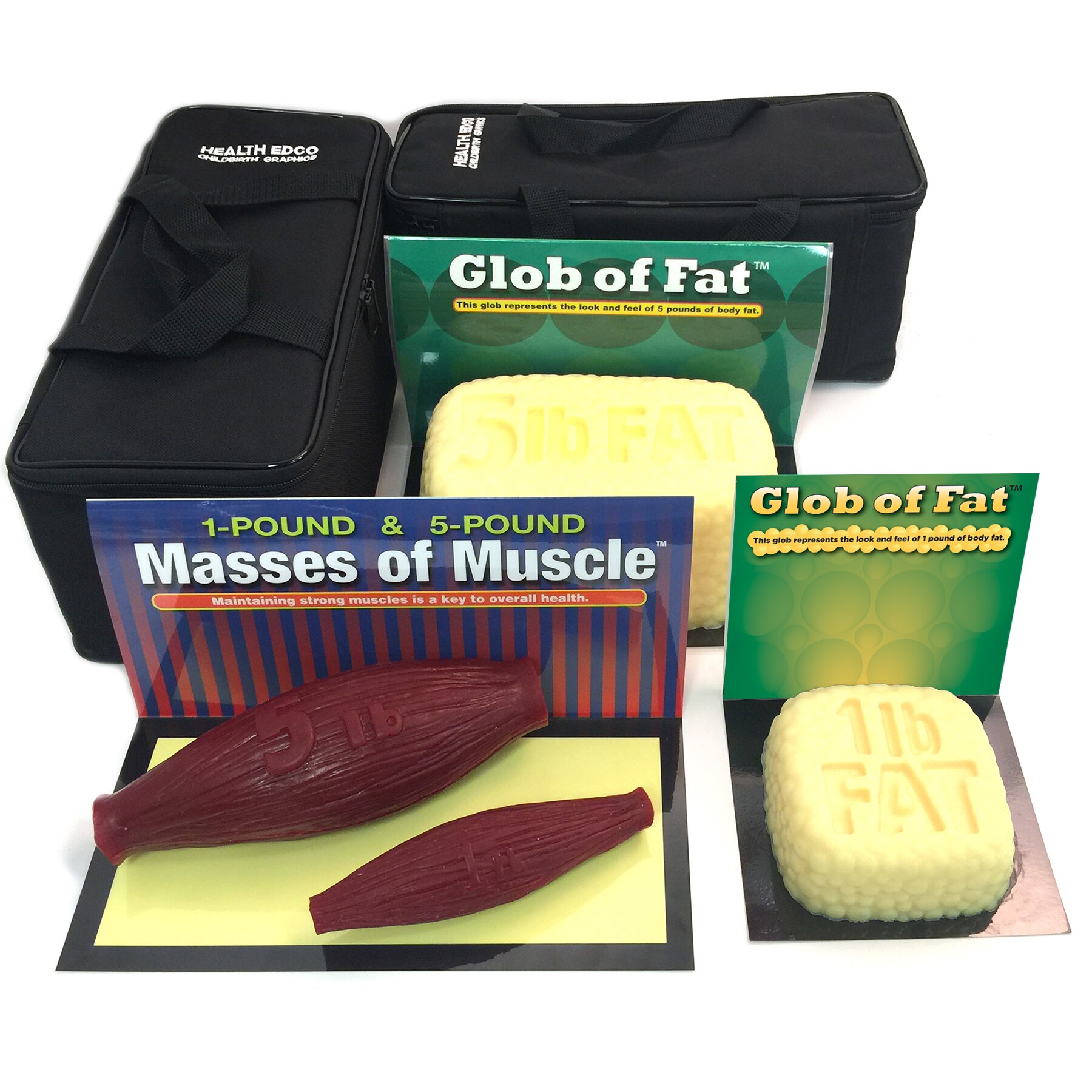 Globs Of Fat & Masses Of Muscle Set 1 lb & 5 lb | Health Edco