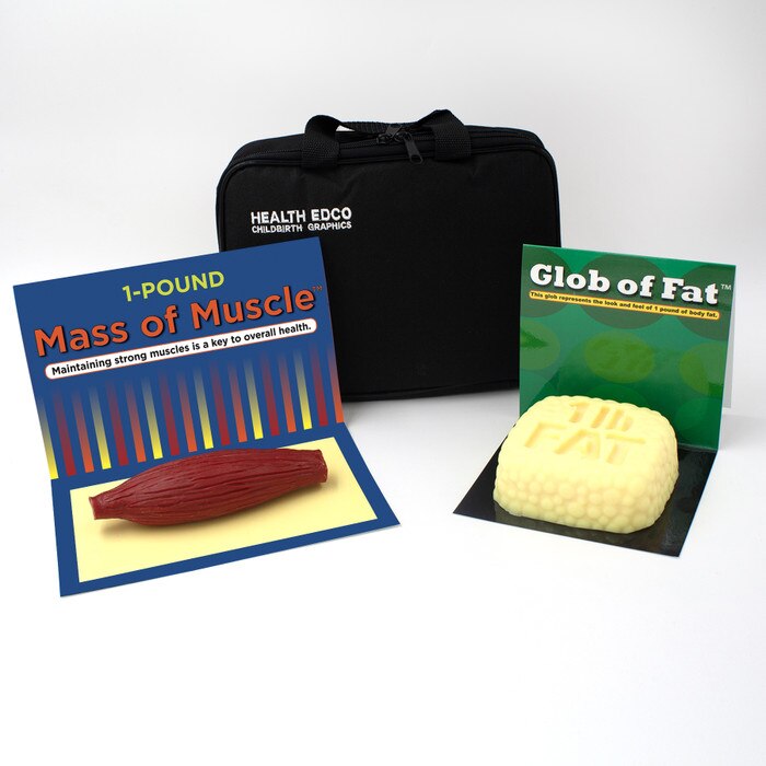 1-Pound Glob of Fat and Mass of Muscle Set | Health Edco