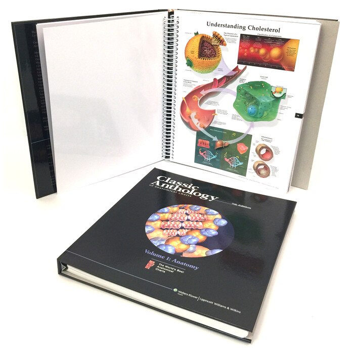 Classic Anthology Of Anatomical Charts | Health Edco