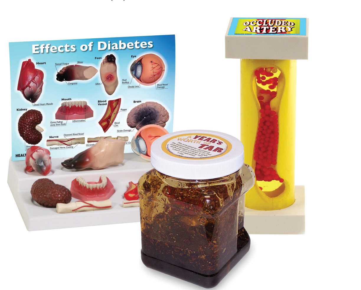 About Us | Health Education Materials & Models | Health Edco