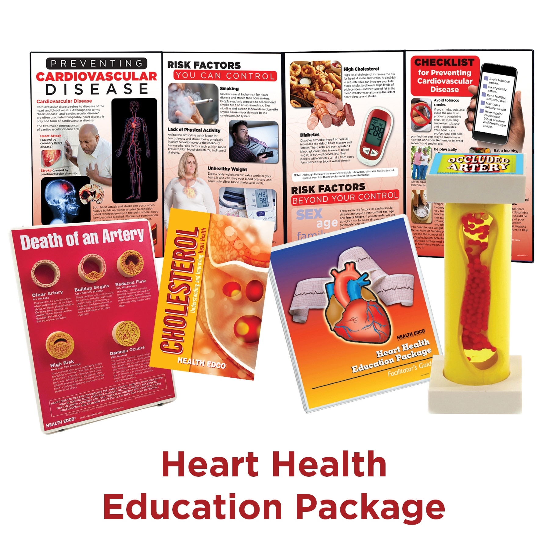 Five Facts About Heart Health | Health Edco