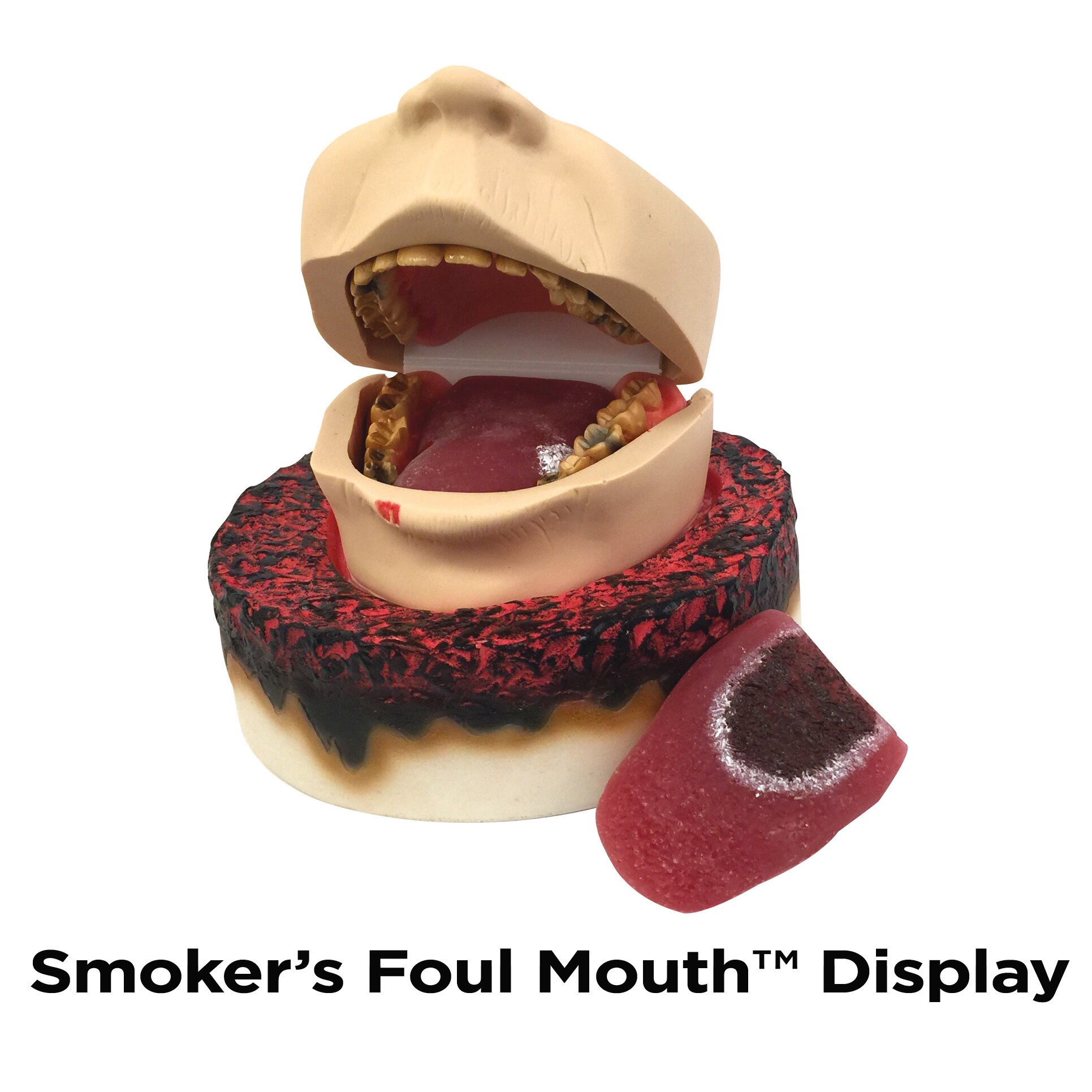 Head-to-Toe Reasons to Avoid Tobacco Use | Health Edco