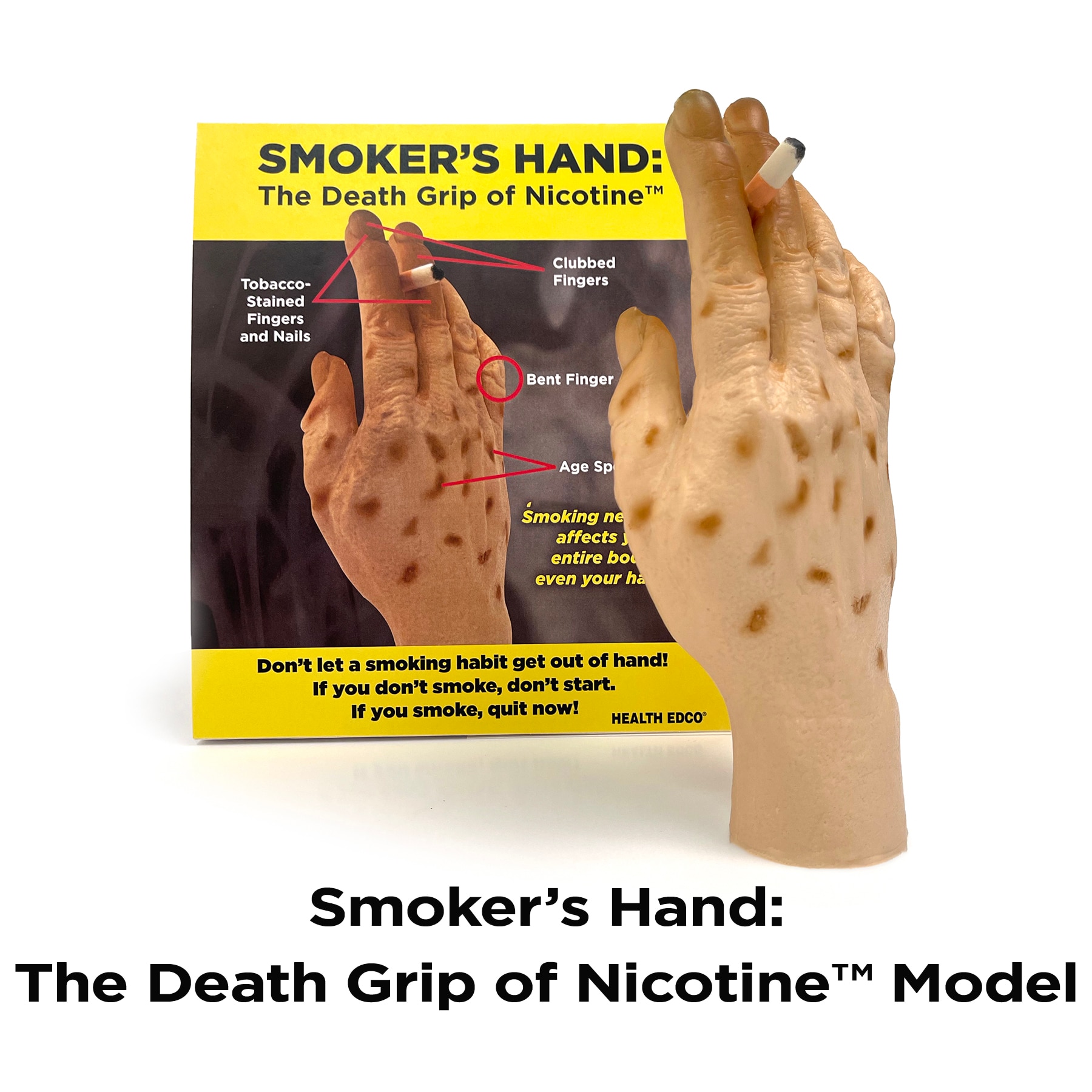 Head-to-Toe Reasons to Avoid Tobacco Use | Health Edco