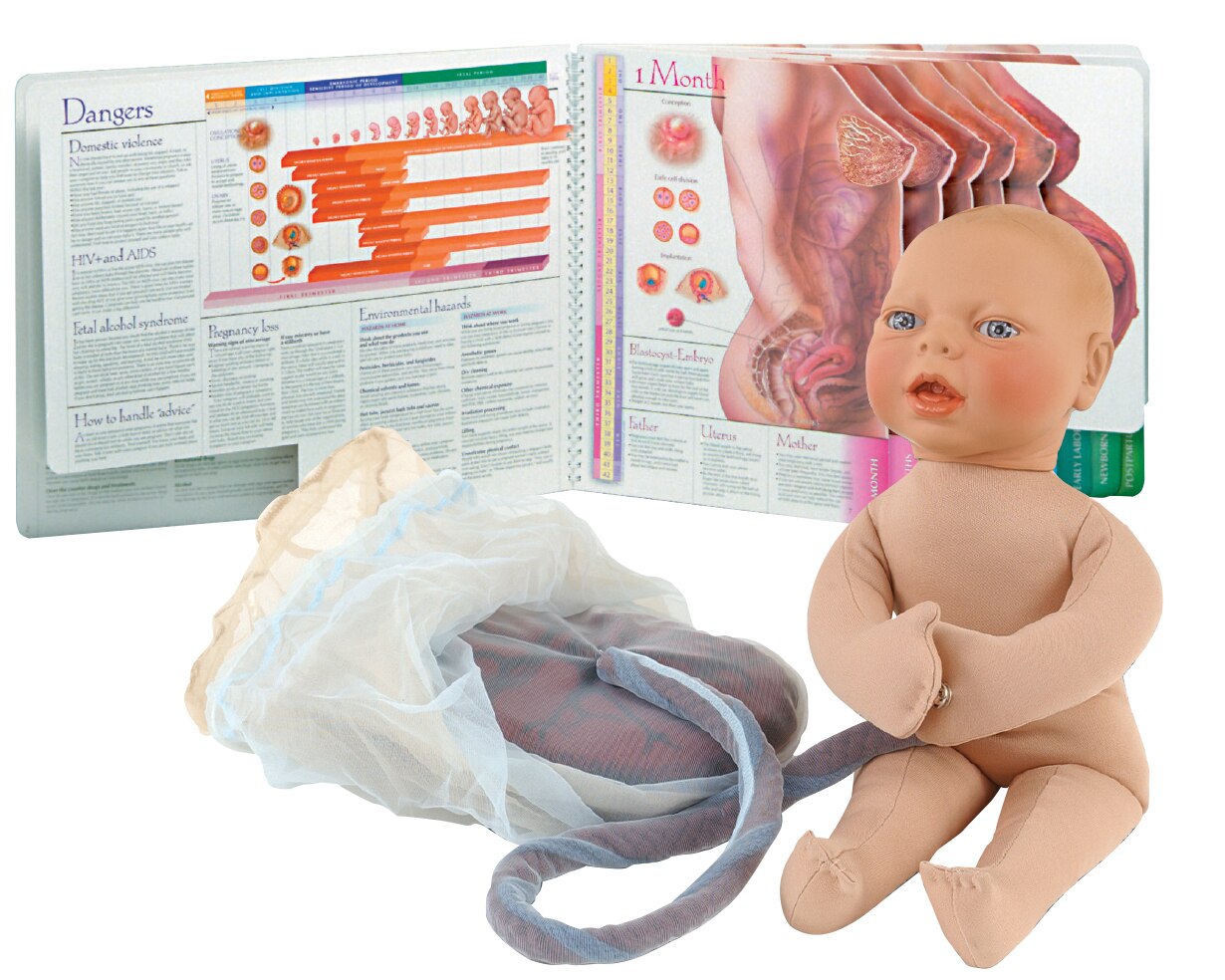 About Us | Childbirth Teaching Tools | Childbirth Graphics