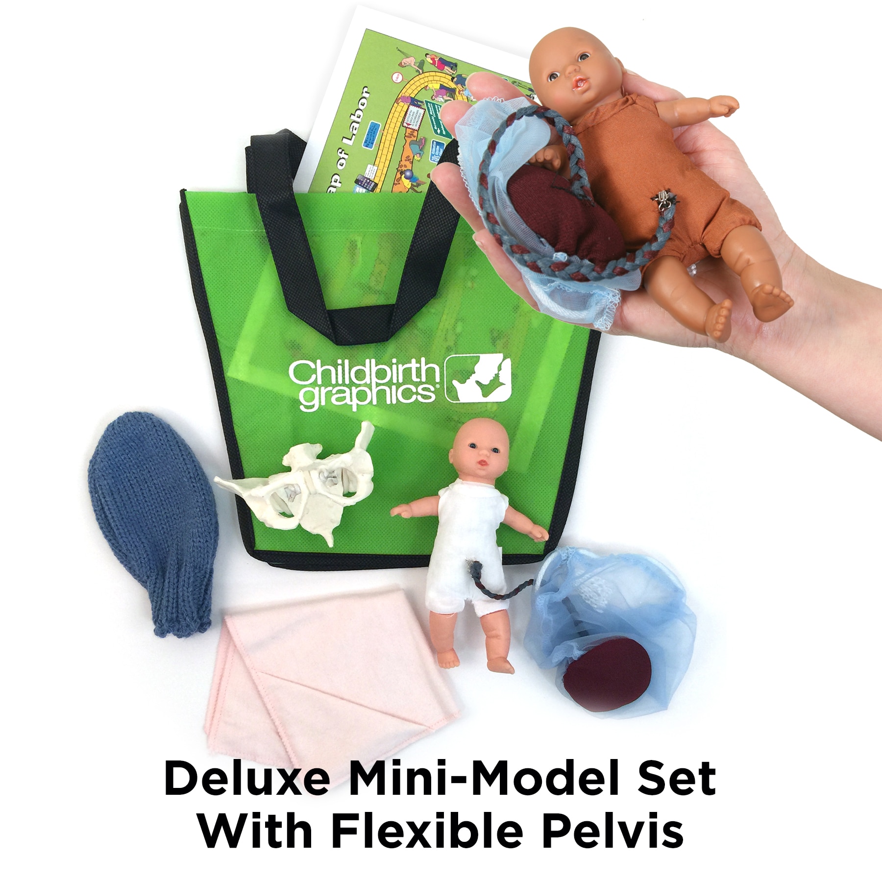 Childbirth Education Placenta Models | Childbirth Graphics