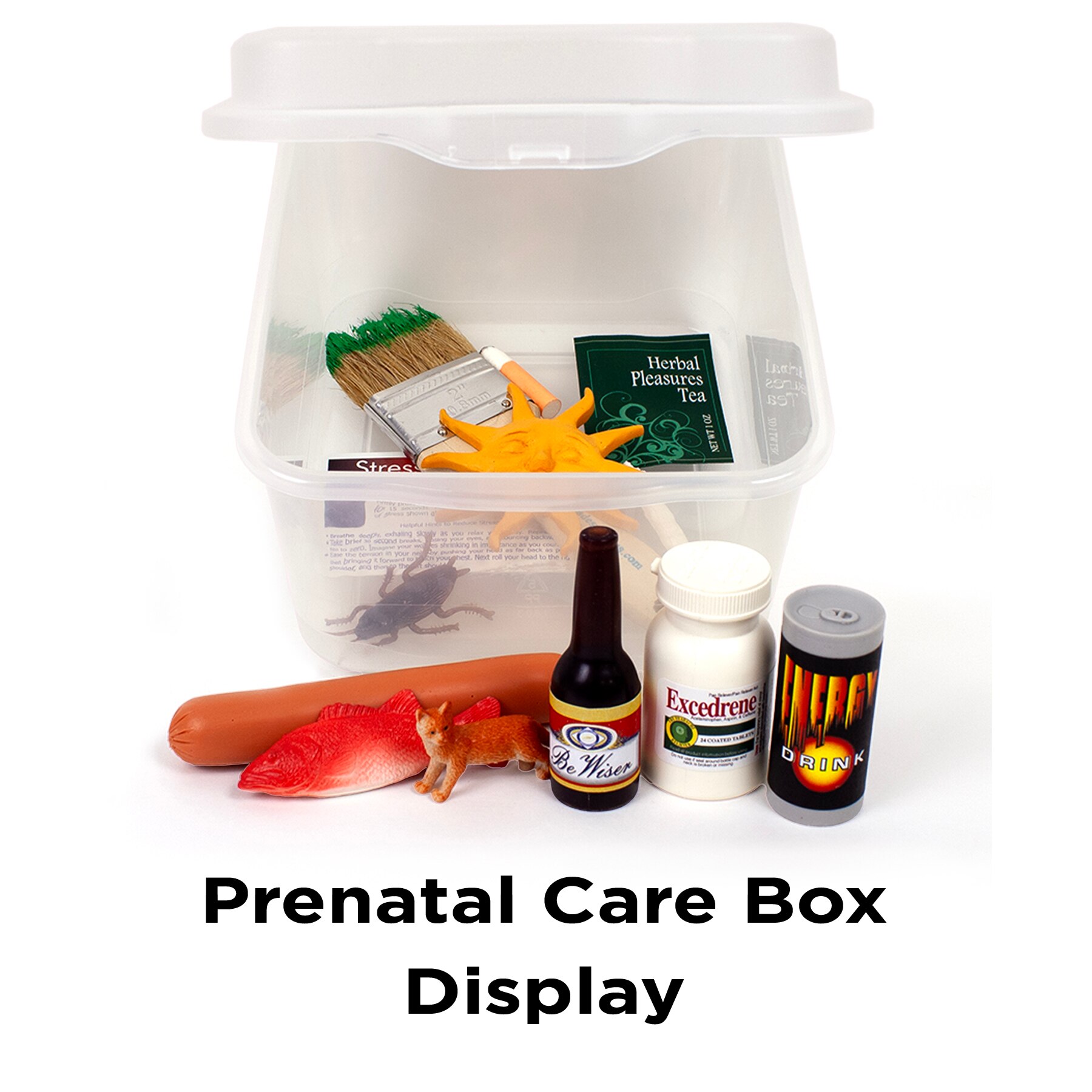 Prenatal Alcohol Exposure Prevention | Childbirth Graphics