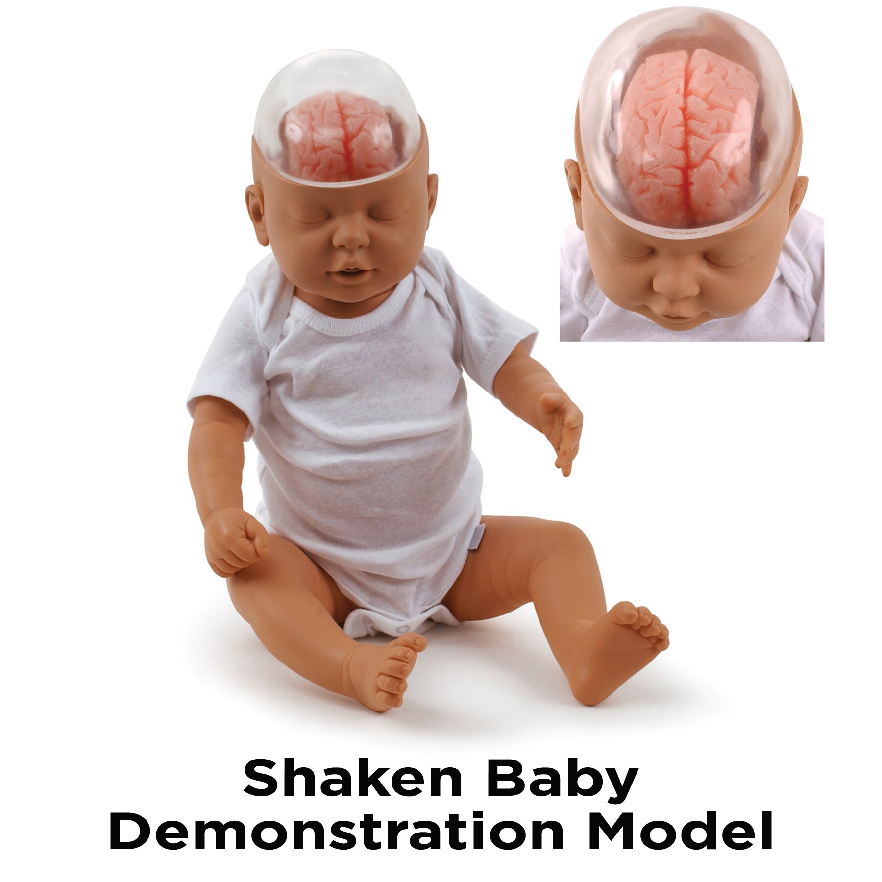 Four Great Infant Teaching Models | Childbirth Graphics