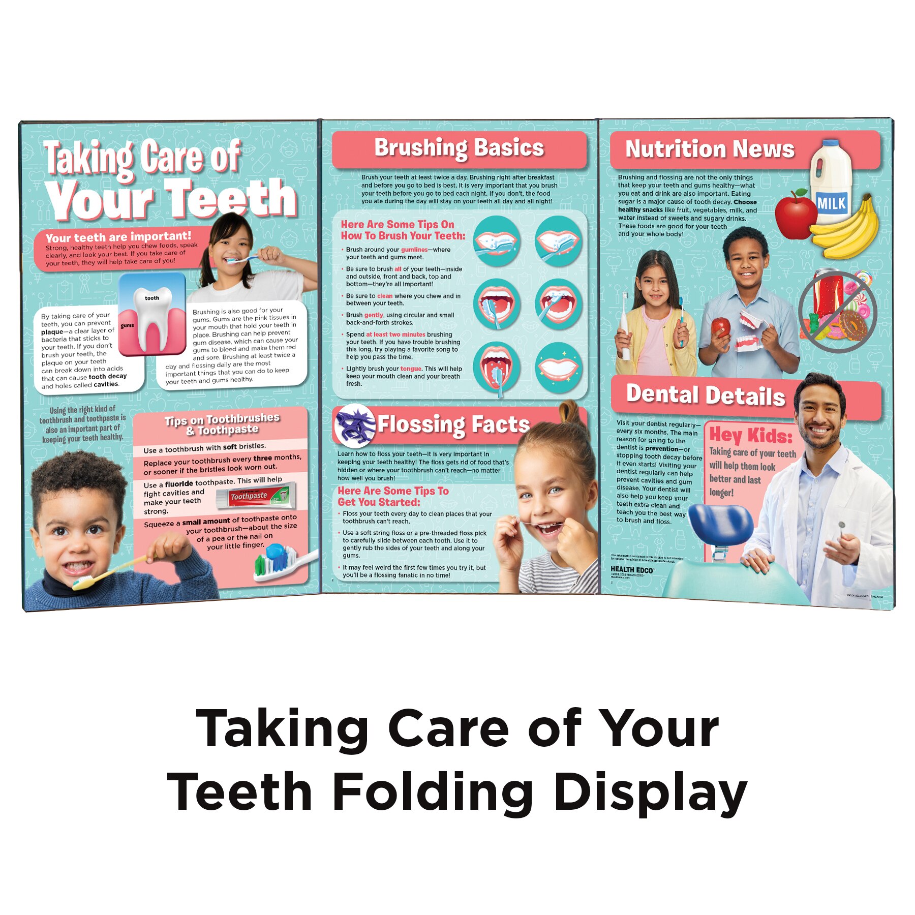 Kids' Dental Health Teaching Materials | Childbirth Graphics